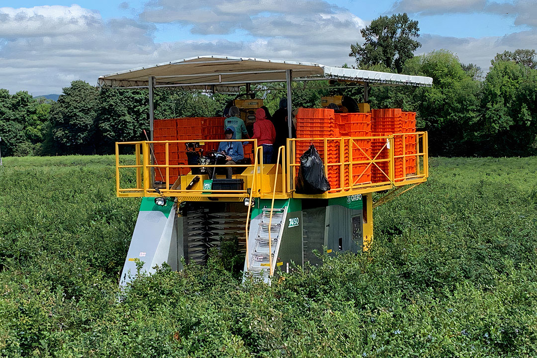 Oxbo Develops New Top Load Harvester For Berries Future Farming